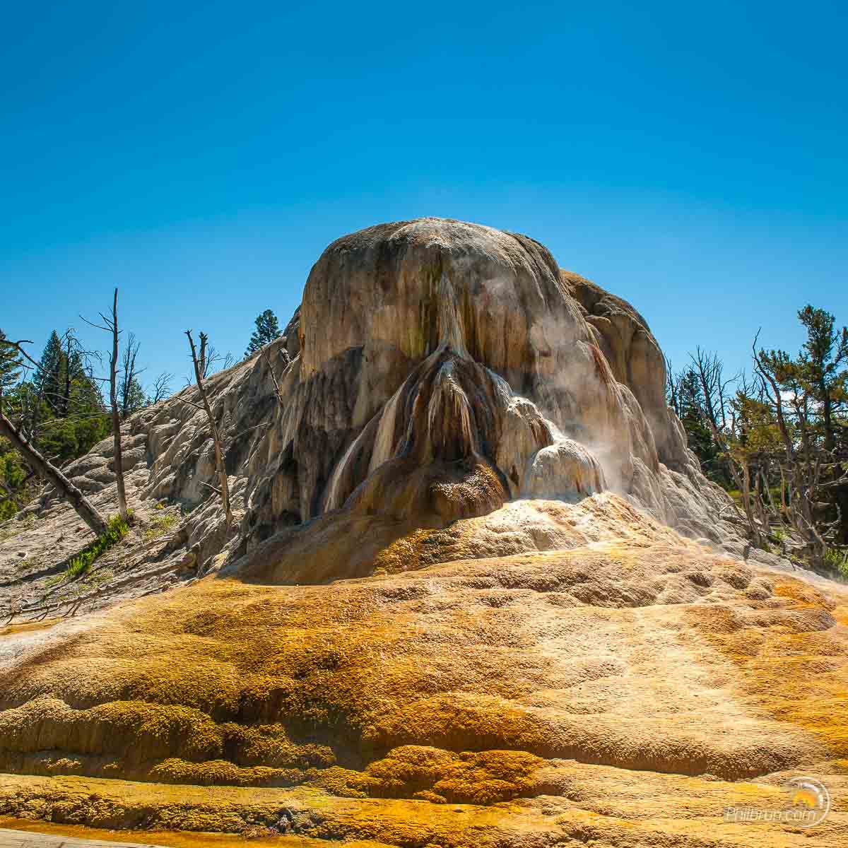 Baguenaude Photo Yellowstone | USA | Une nature exceptionnelle